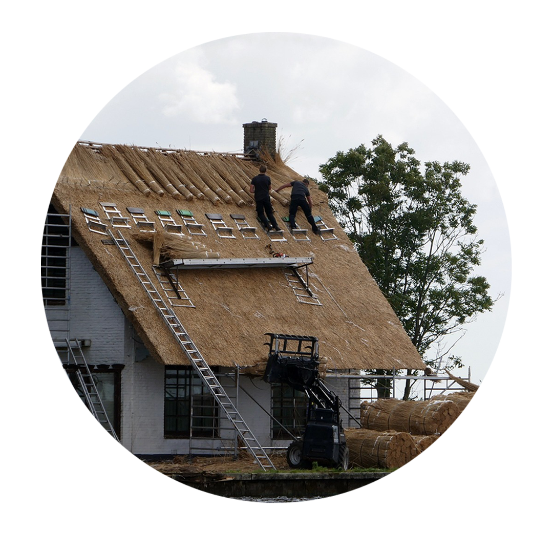 Thatched-Home-Ads - The Home Insurer